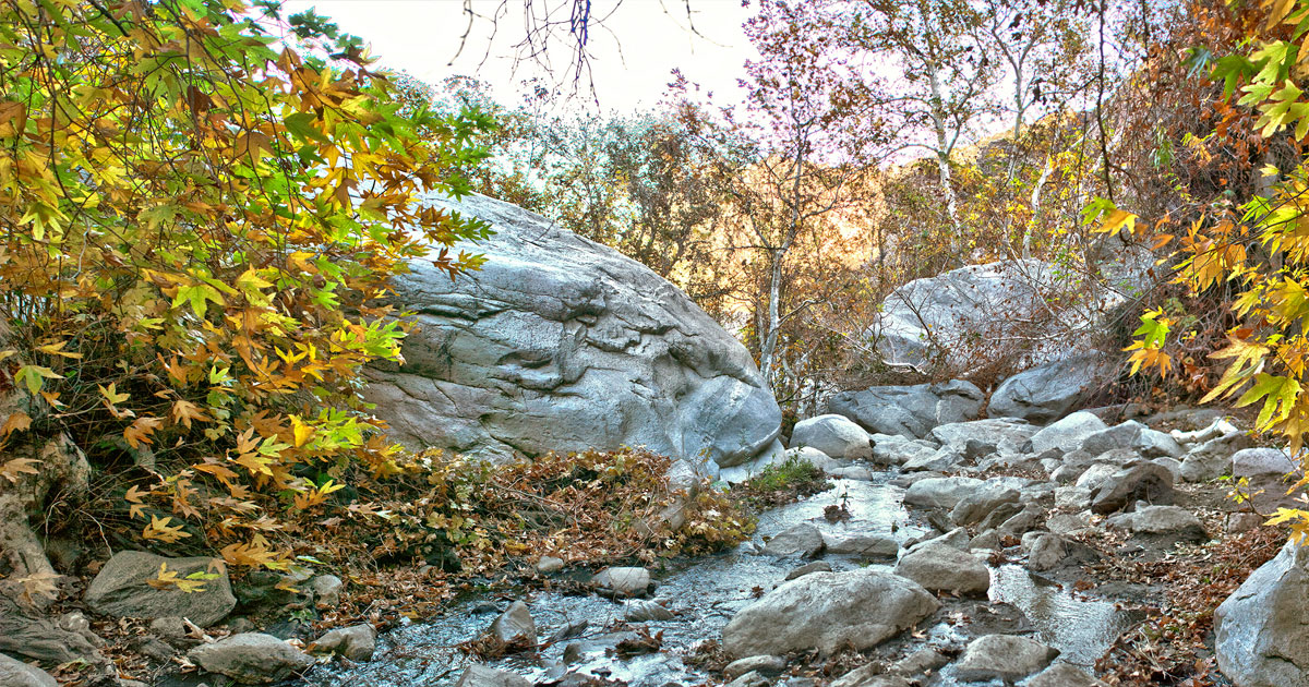 Trail Maps – Tahquitz Canyon